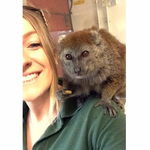 Lemur Bootcamp Easter Egg! | Experiment